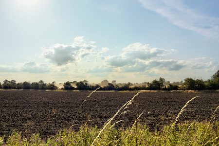 East of England ICBs brace for another year of austerity - The Lowdown